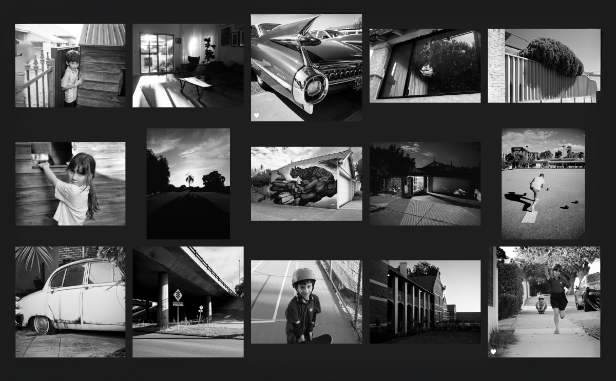 100 Days In - Grizzlebit